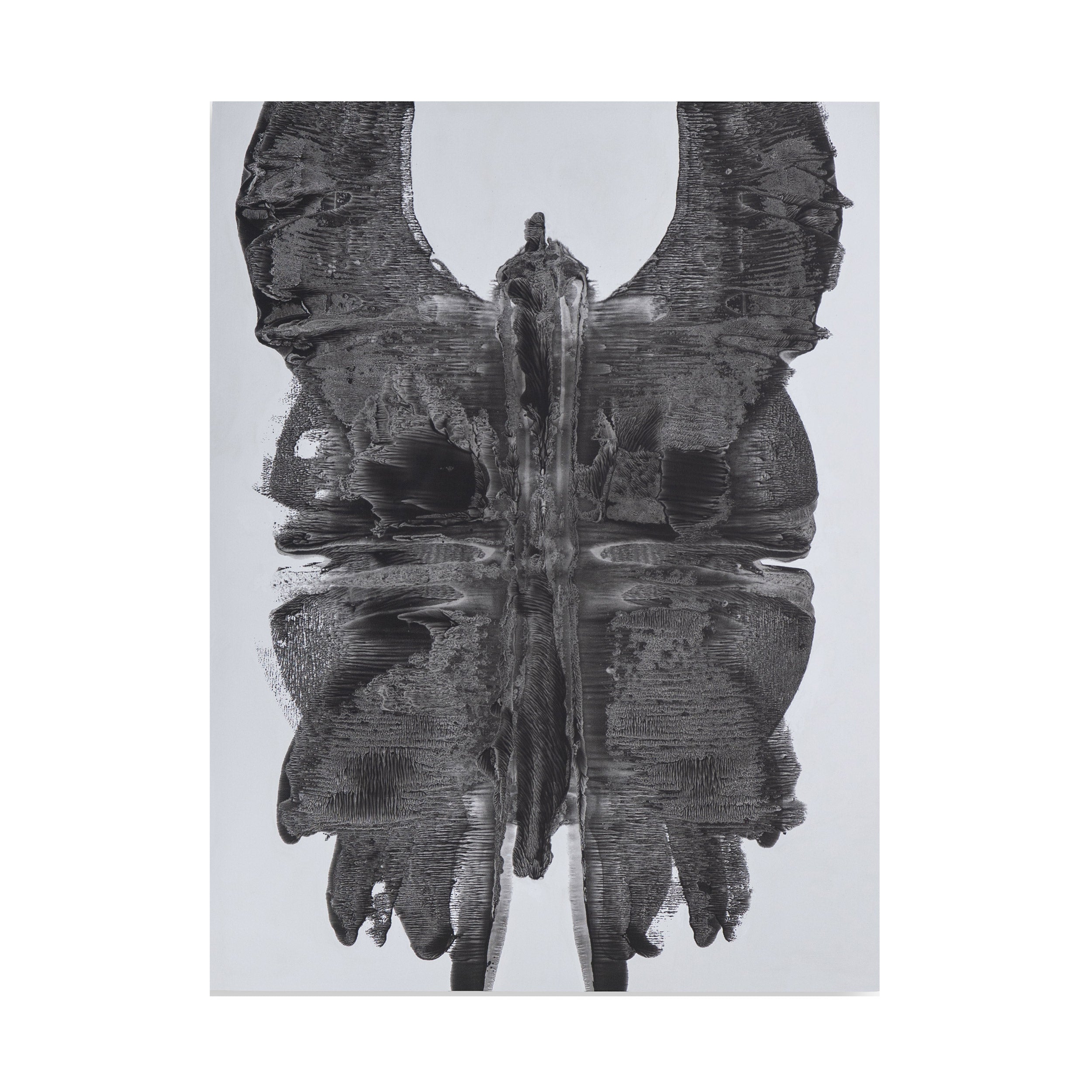 Images of One's Relativity by Dheeraj Jadhav – Method