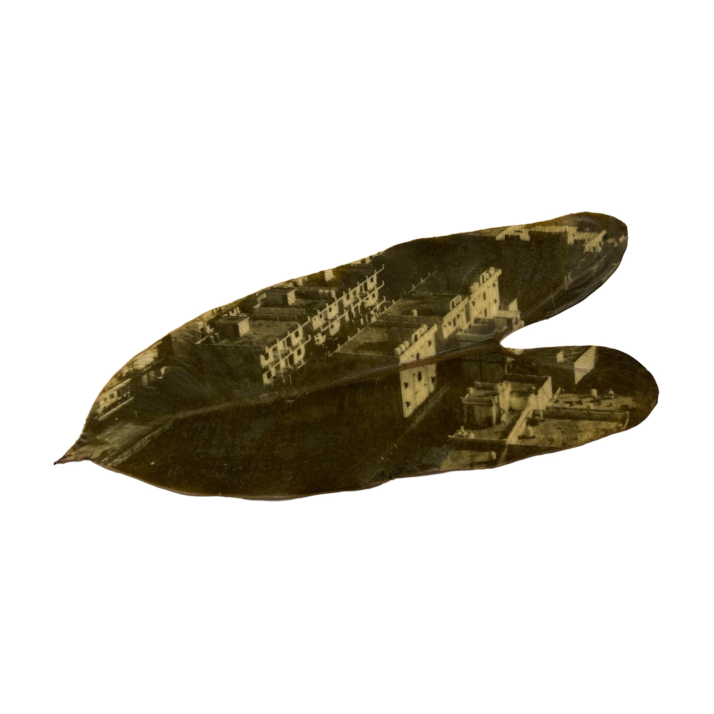 Find a Canvas 01 by Riya Panwar – Method