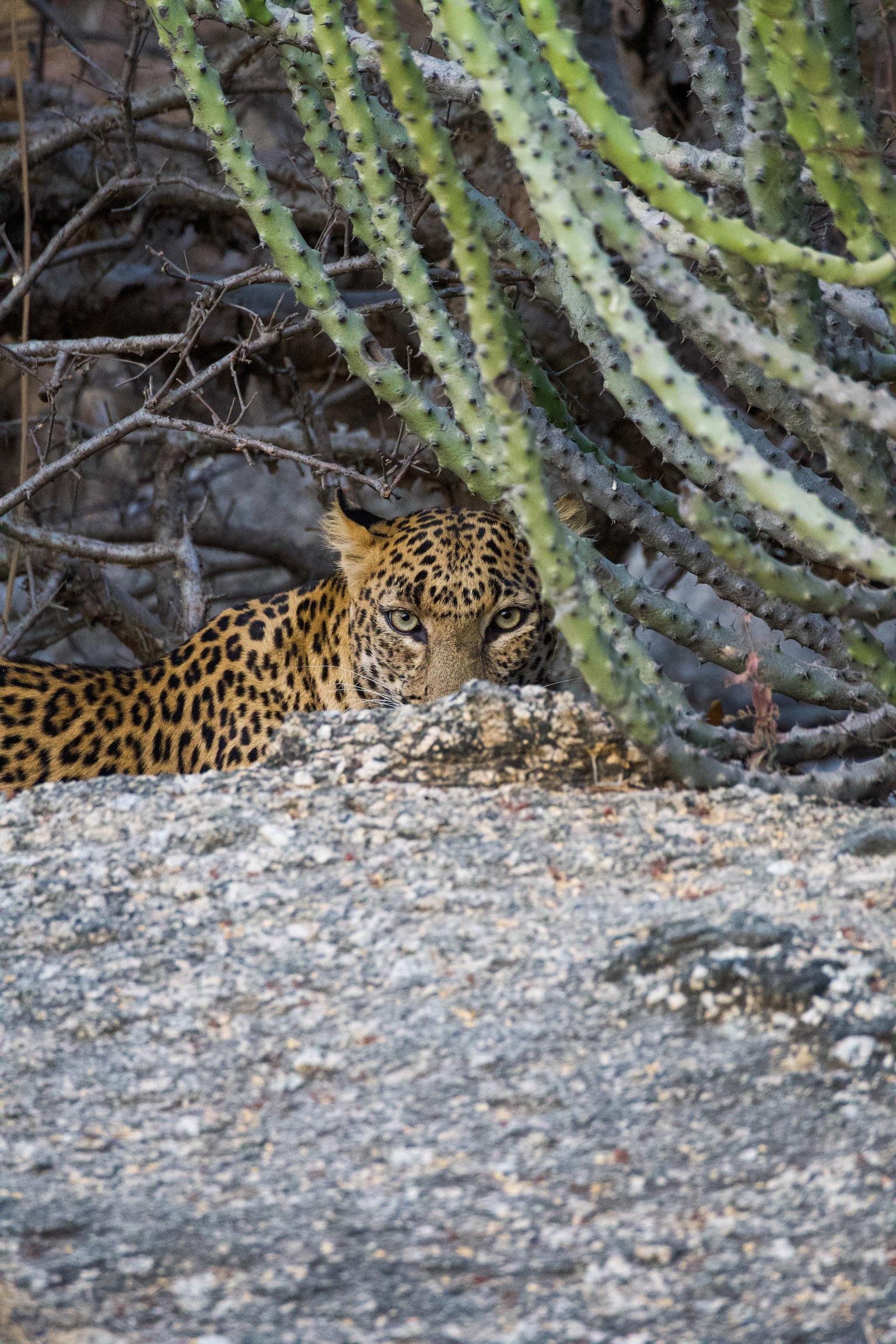 Raihan R Vadra – Method