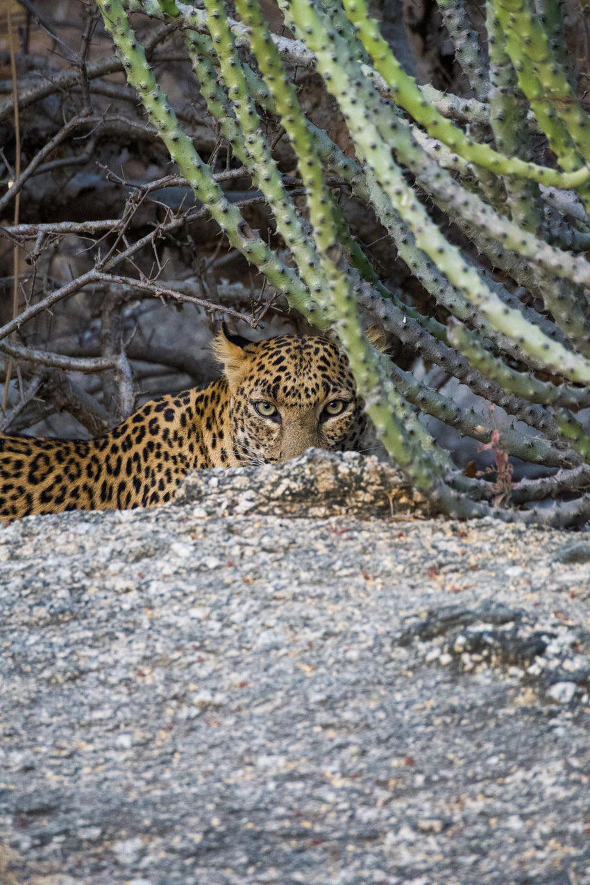 Raihan R Vadra – Method