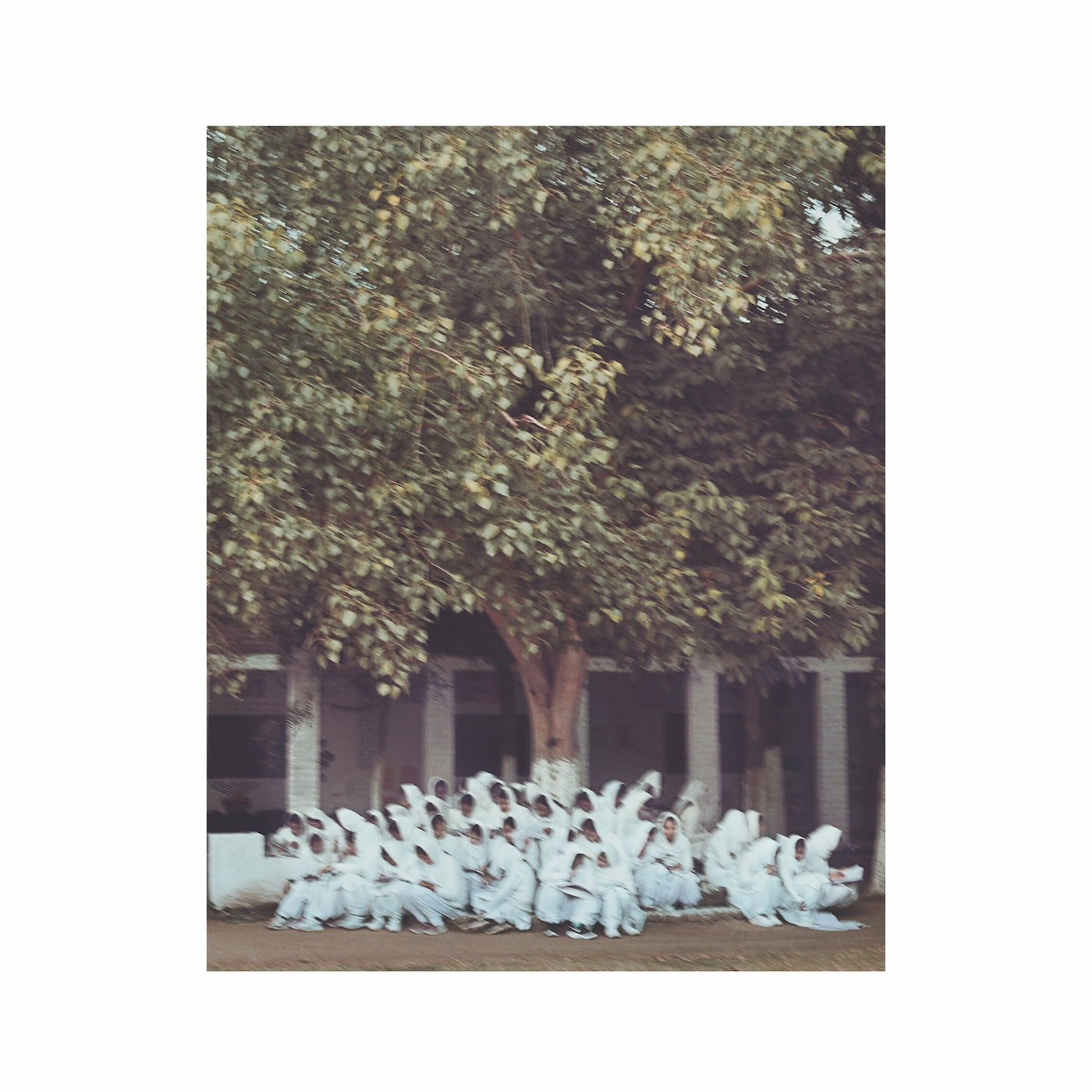 Whispering Willows by Avani Rai – Method