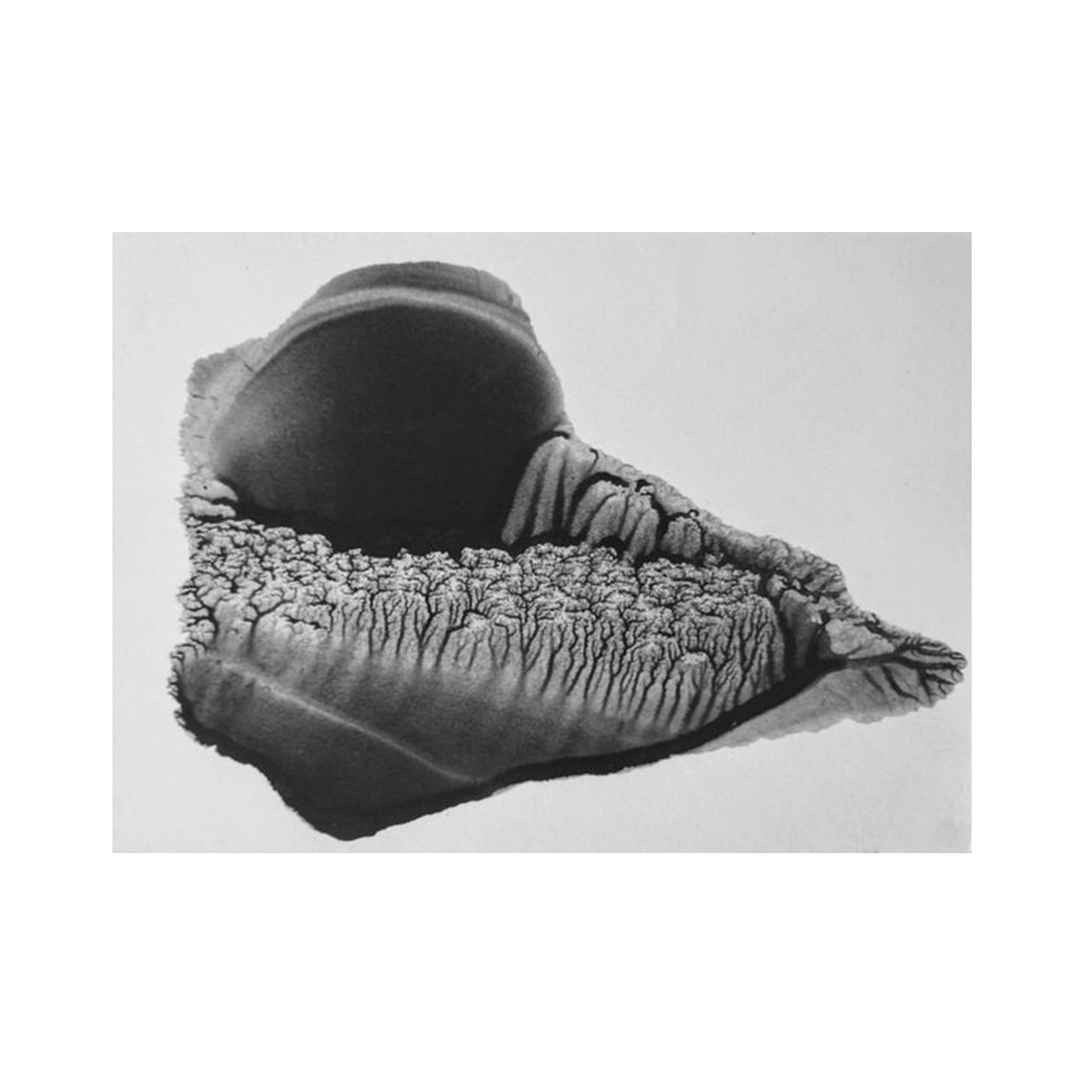 1/1 ORIGINALS – Tagged "Available"– Method